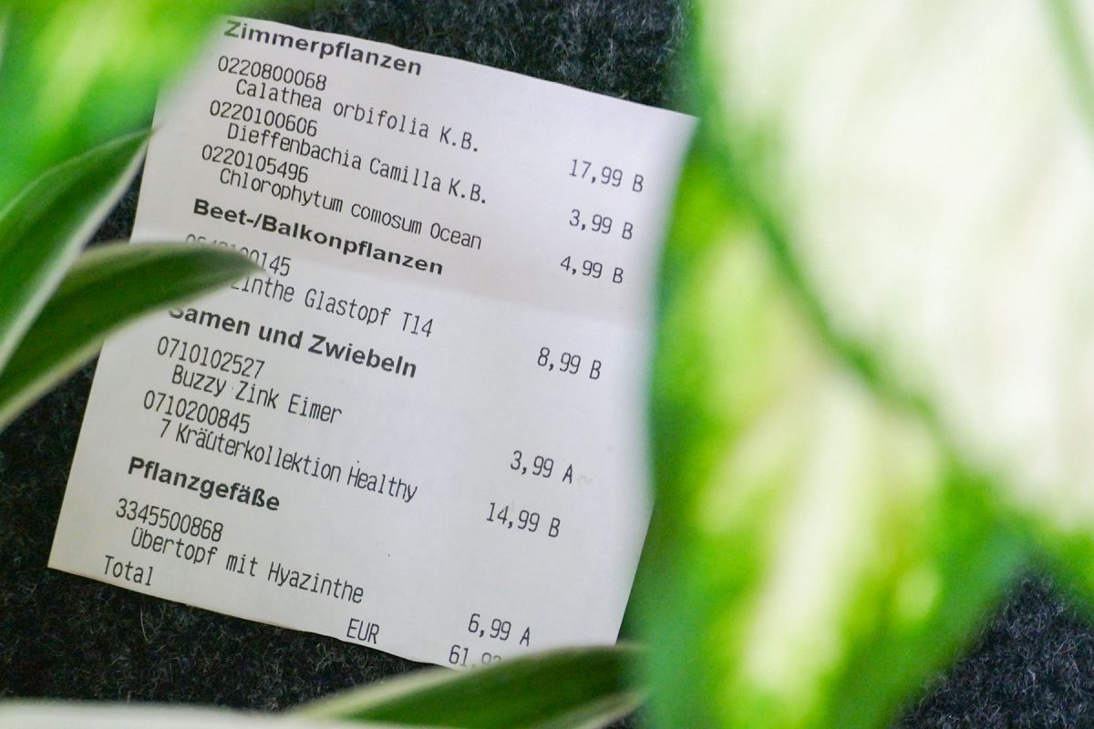 5 bienenfreundliche Pflanzen für den Balkon - Velanga